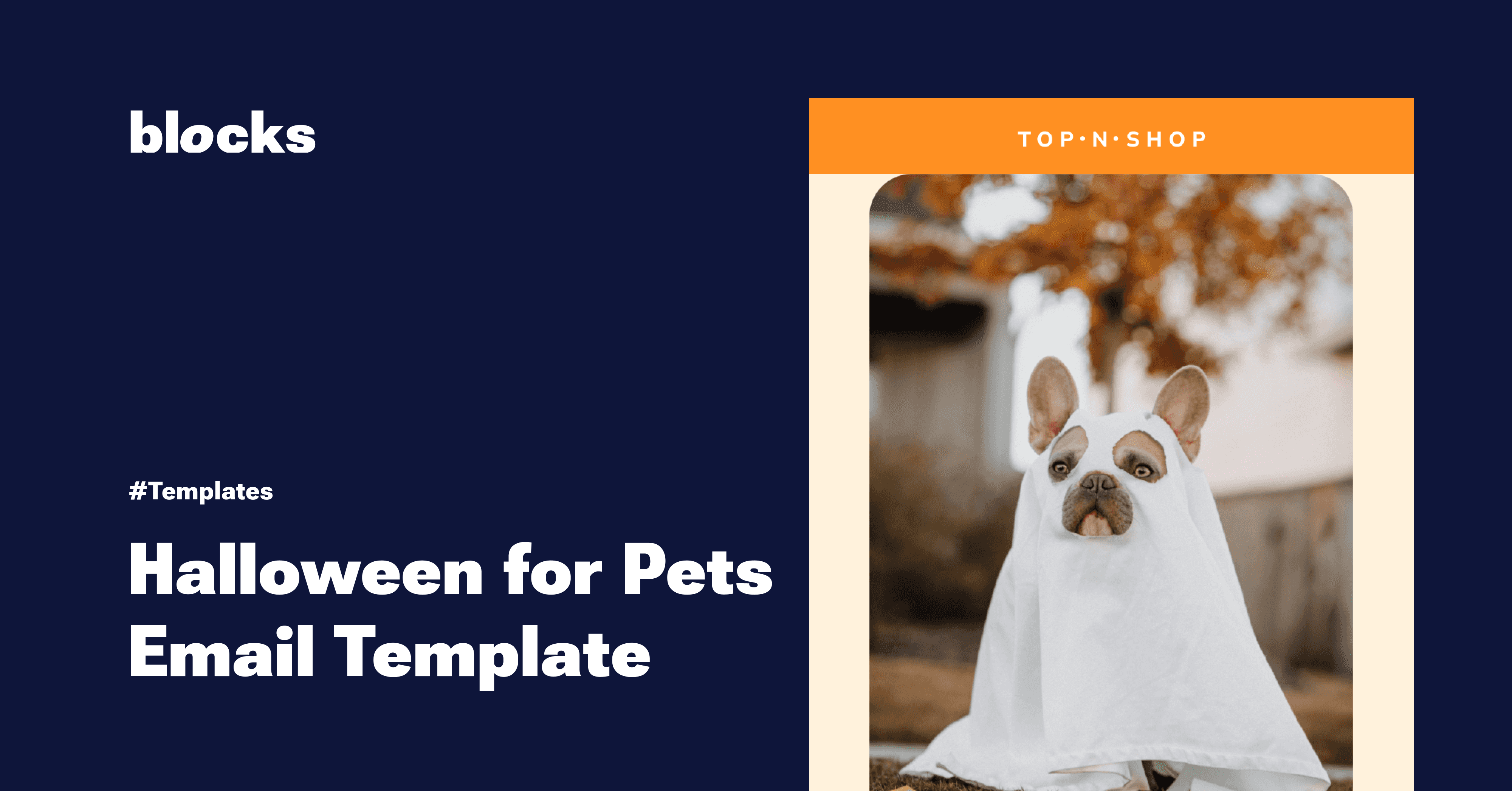 Spooky Pet Fun: Halloween Email Template 🎃 - Blocks